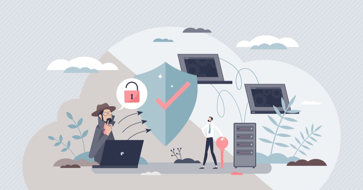 IT Provision and Controls - Adviser Software